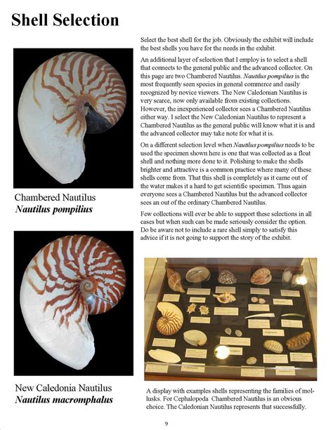 How To Build A Shell Show Exhibit Nc Shell Club