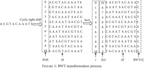 Figure 1 From Sequence Fusion Algorithm Of Tumor Gene Sequencing And Alignment Based On Machine