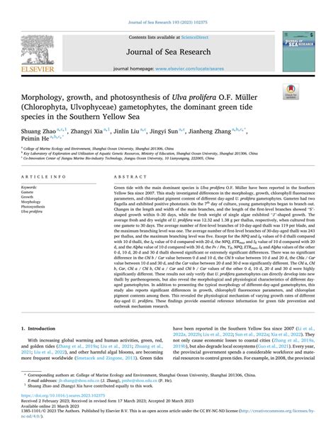 Pdf Morphology Growth And Photosynthesis Of Ulva Prolifera Of