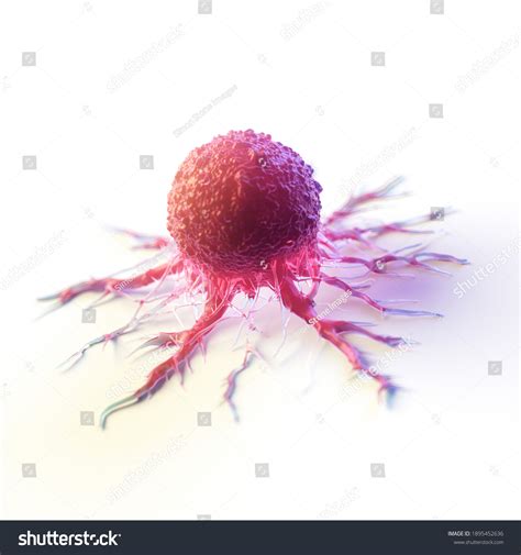 3d Cancer Cell Computer Illustration Stock Illustration 1895452636 3d Cancer Cell Computer Illustration Stock Illustration 1895452636