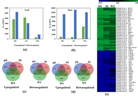 Deep Transcriptome Sequencing Inferences Of Multiple Abiotic Stress