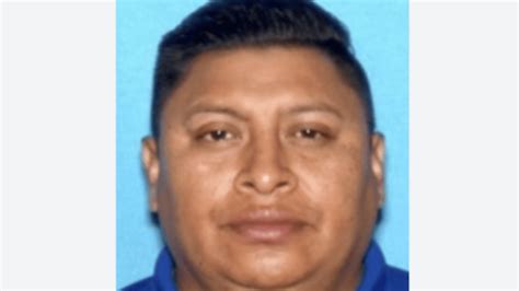 Human Smuggling Ring Dismantled That Sent 200000 Illegal Immigrants