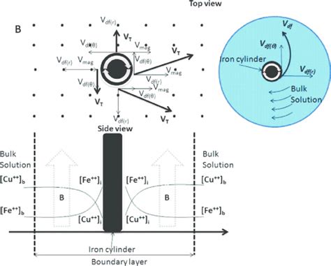 Schematic Illustration Of The Electrodesolution Interface In The