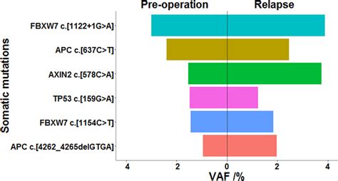 Mutated Allele Fraction Of Common Somatic Variations In Preoperative Download Scientific