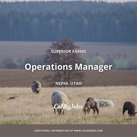 Lesa Eidman On Linkedin Superior Farms Is Launching A New Feeding And