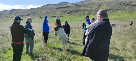 Sumardagskrá Símenntunar Öldunnar Og Búsetuþjónustunnar í Borgarbyggð