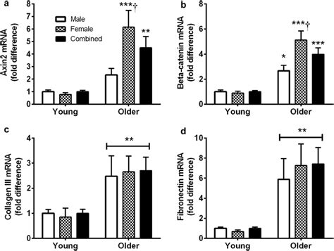 Transcript Levels Of Axin 2 A Beta Catenin B Collagen Iii C