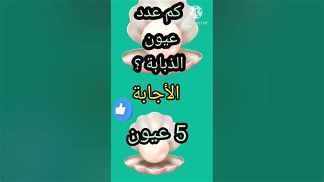 تحدي جديد اسئلة ثقافية مميزة ورائعة وإجاباتها كم عدد عيون الذبابة فكر واعرف 🤔 Youtube