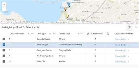 Featuretable Api Reference Arcgis Maps Sdk For Javascript 433 Esri Developer
