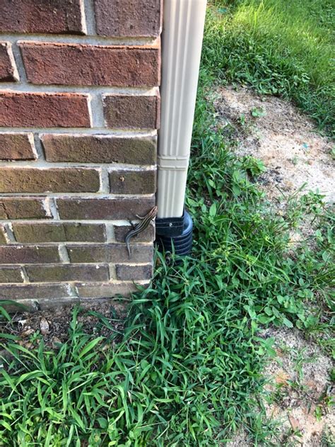 Pythonpassion On Tumblr