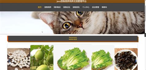 基于springbootvue的宠物领养饲养交流管理平台设计与实现 阿里云开发者社区