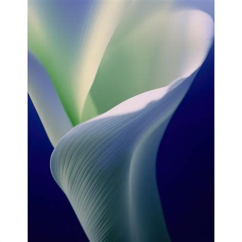 Patterns On A Leafs Surface Premium Ai Generated Image