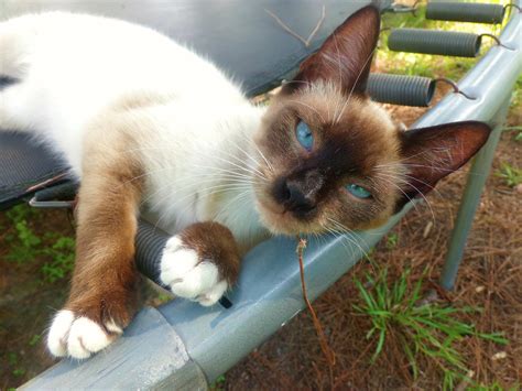 This Is Stormy Hes An Attention Hog And Loves Photos Album On Imgur