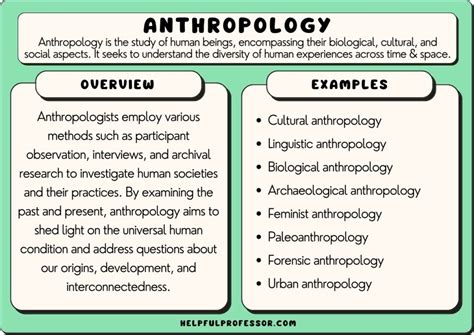 17 Anthropology Examples 2025