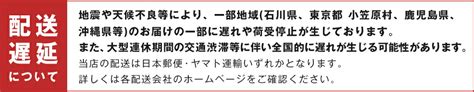 【楽天市場】キッズフォーマル服 長袖 ワンピース 女の子 入園 卒業式 襟 ポケット付き ブラック ネイビー 100cm 110cm