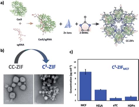 Nanosized Extended Frameworks For Crisprcas9 Delivery A