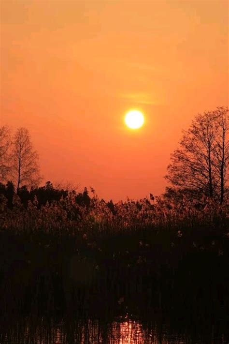 Asheesh On Linkedin Datascience Data Community Python Experience Career