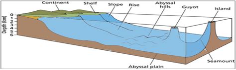 Ocean Relief Key Features And Types Of Ocean Relief Gktoday