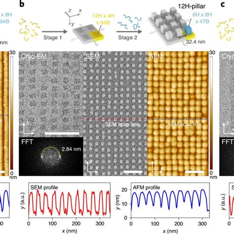 Pattern Diversity Ac Schemes Of The Dna Modular Epitaxy Assembly And Download Scientific