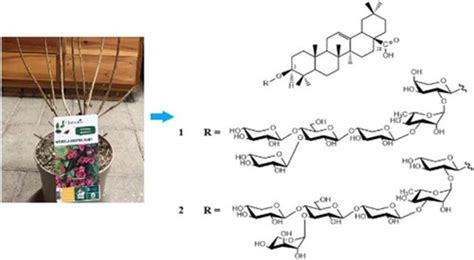 Ruby Molecular Structure