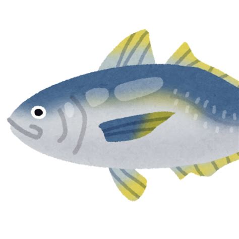 Dhas Electric Fun Class Youtube