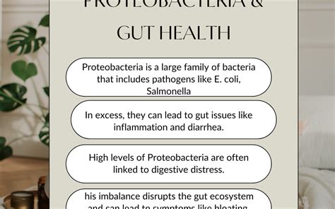 How To Transition From Low To High Fiber For Diverticulosis And Ibd