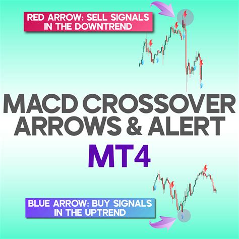 Macd Divergence Indicator For Mt4 Free Download Trading Indicator For