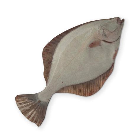 Microfiber Cloth That Looks Like A Flounder Nerdwax