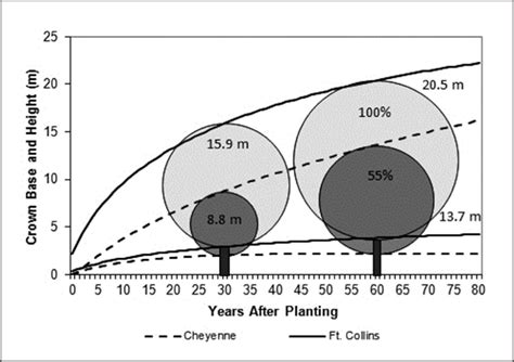 Urban Tree Growth Modeling Arboriculture Urban Forestry