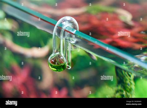 Aquascape Carbon Dioxide Hi Res Stock Photography And Images Alamy