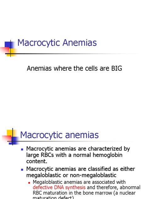 Macrocytic Anemias Anemia Vitamin B12