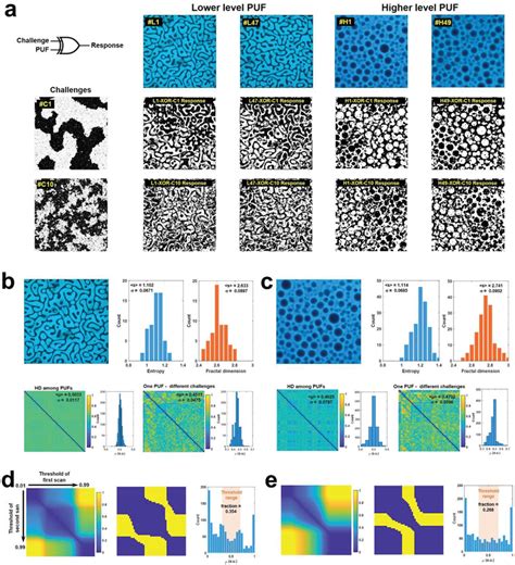 A Exclusive Or Xor Operation With Challenges For Lower And Higher