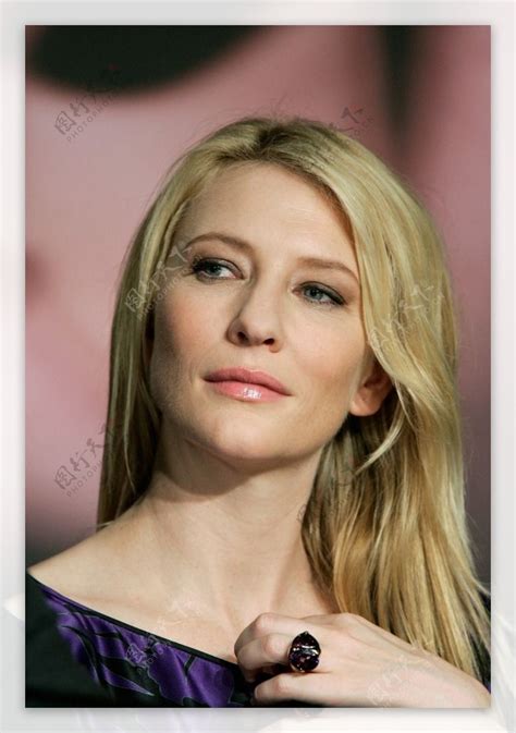 凯特183布兰切特图片素材 编号11640652 图行天下