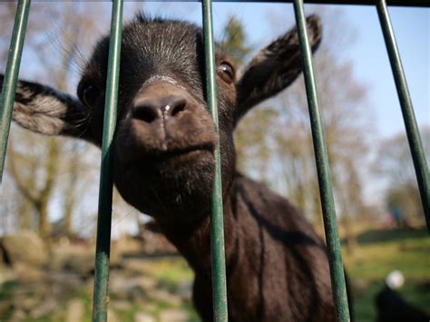 P1184653 Photos Krienke Shares 3nh0kt Thorsten Krienke Flickr