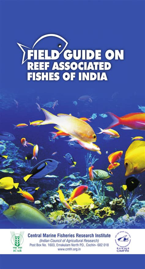 Pdf Field Guide On Reef Associated Fishes
