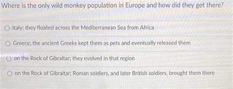 Solved Where Is The Only Wild Monkey Population In Europe