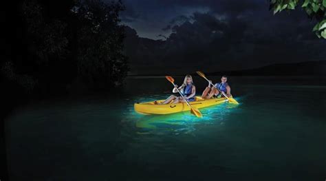 Bio Bay Vieques Kayak Tour Bioluminescent Bay In Vieques Puerto Rico