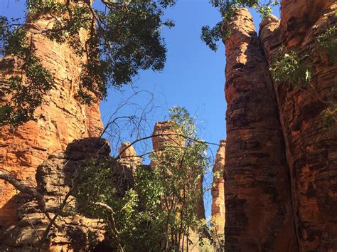 2025年8月borroloola景点攻略 Borroloola旅游必去景点 Borroloola景点大全 猫途鹰