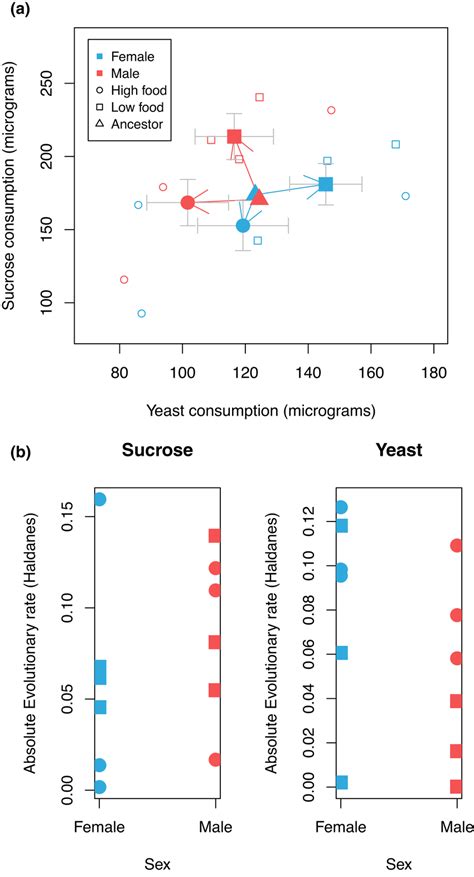 Evolution Of Sexual Dimorphism Occurred Via Divergence In Both Male And Download Scientific Evolution Of Sexual Dimorphism Occurred Via Divergence In Both Male And Download Scientific