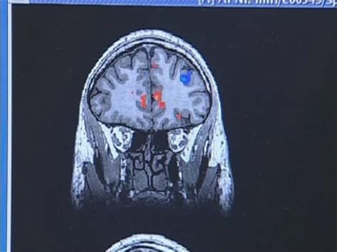 N Back Test — Science Learning Hub