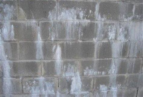 How To Identify That White Stuff On Your Concrete Wall Kryton