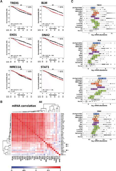Role Of Trex1 And Resection Factors On Survival Probability In Breast