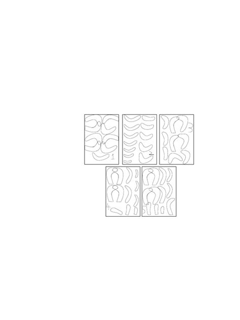 Printout Template Pdf