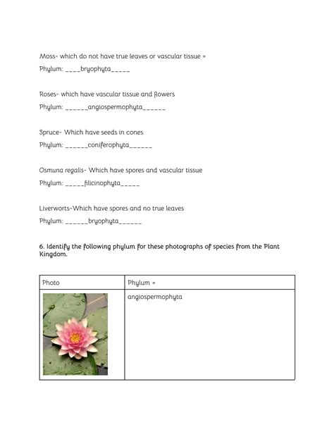 Phylum Angiospermophyta