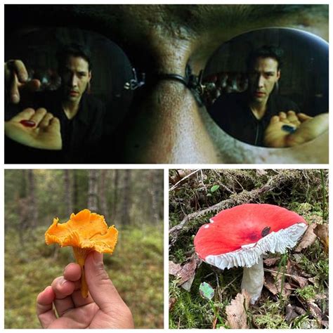 Aec Webgl Bim Opensource Vishwajeet Mane