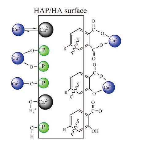 有关纳米羟基磷灰石的性能和数据，还有在哪些方面有应用？ 知乎