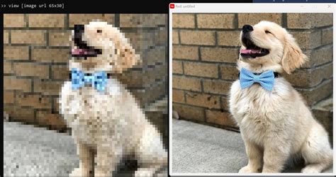 Red Programming Language