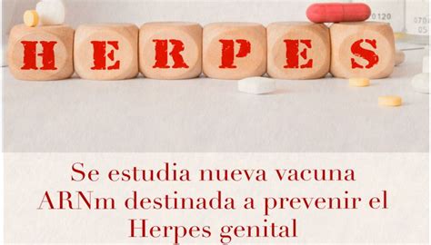 Herpes Genital El Herpes Genital Es Una Enfermedad De Transmisión