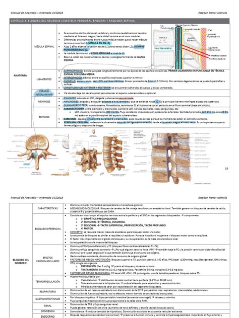 Bloqueo Neuroeje Anestesia Epidural Y Raquídea Pdf Médula Espinal