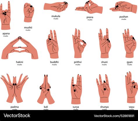Big Nice Collection Of Different Mudras Royalty Free Vector